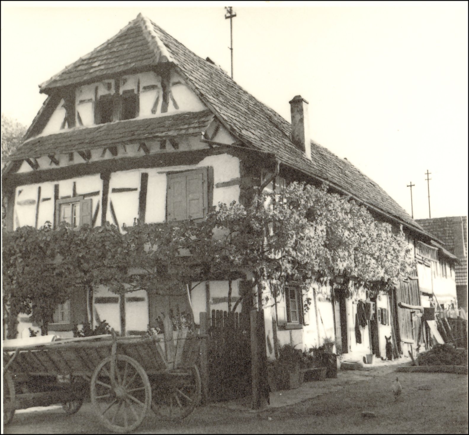 Daten / Geschichte | Malsch